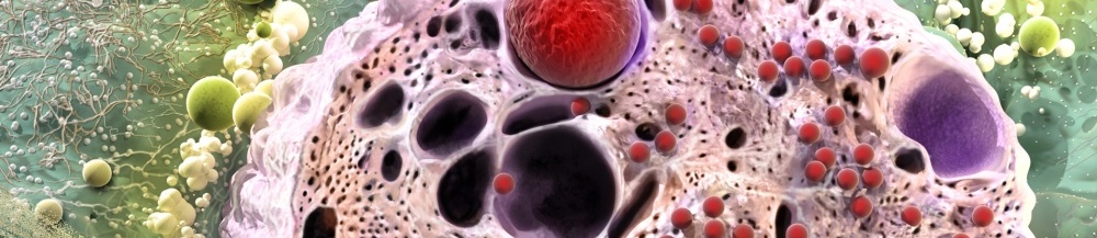 Medical Art by Catherine Sulzmann - Medical Art